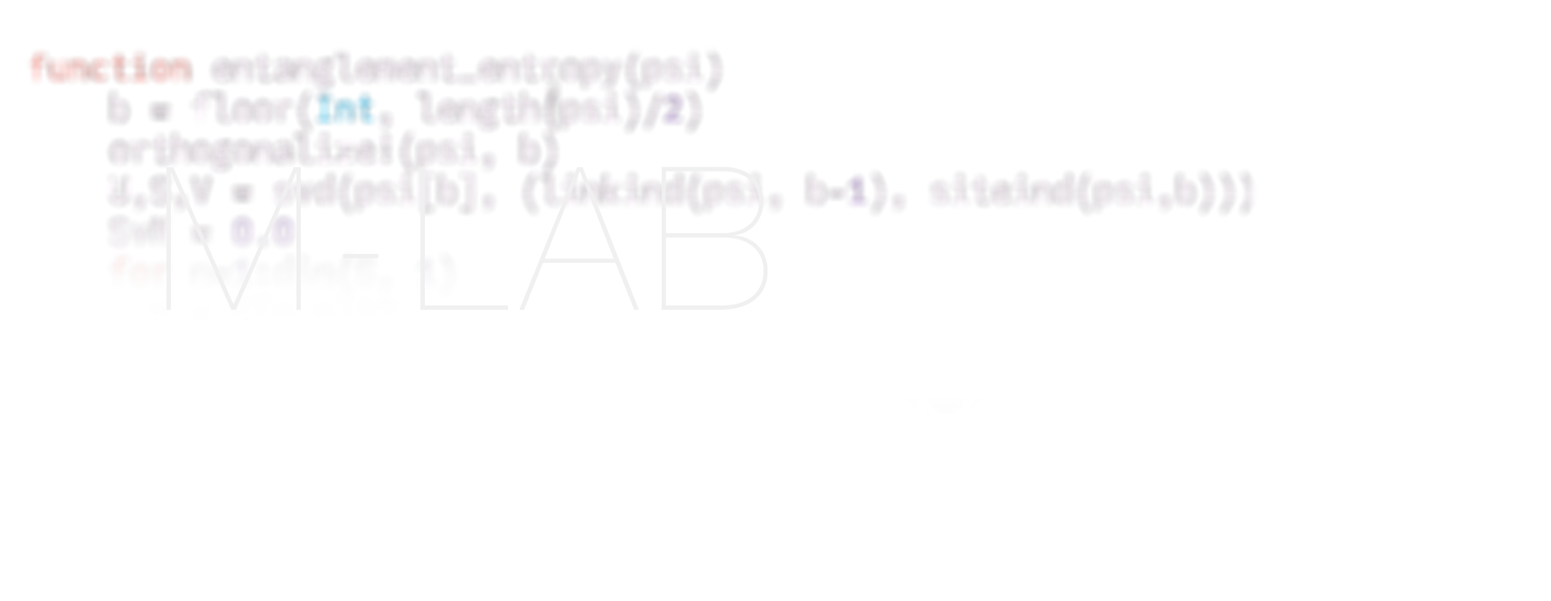 Practical Course M - Computational Physics